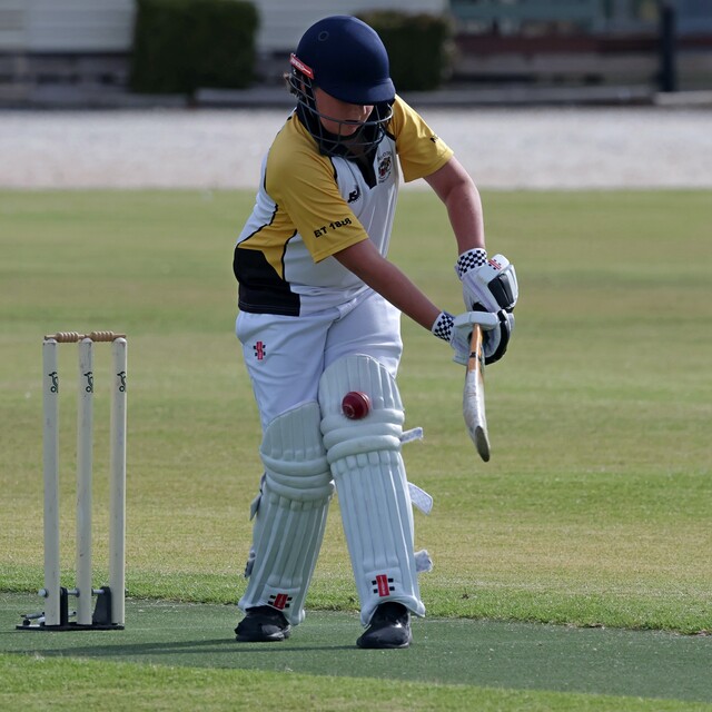 Nottle goes full-throttle | The Bunyip