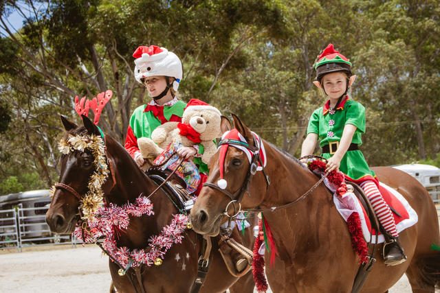 Hooves shine with holiday spirit | The Bunyip