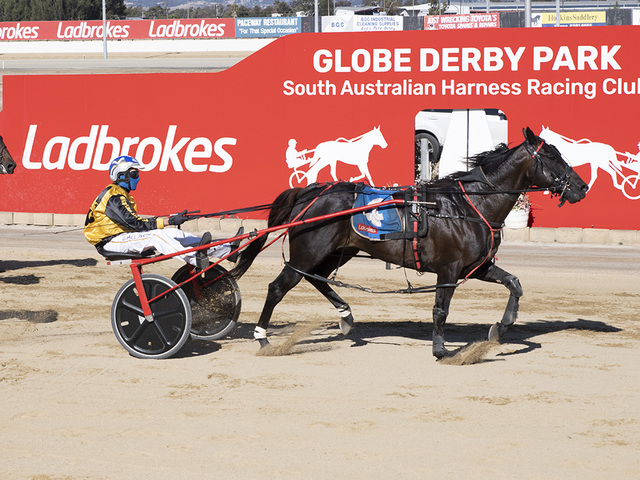 Hall shines yet again at Australian Drivers Championship | The Bunyip