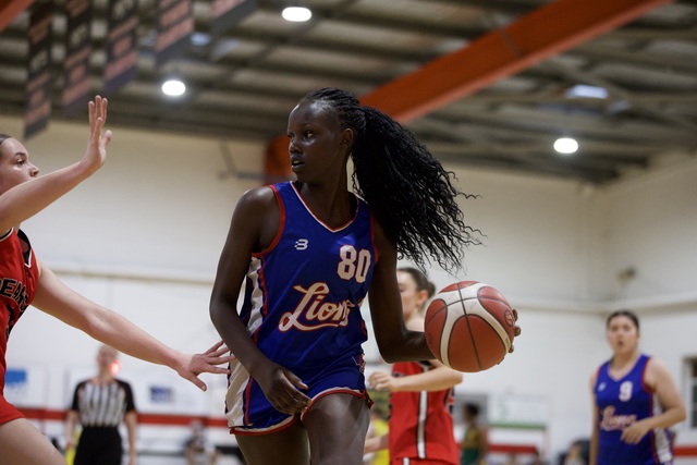 Lions best Tigers in safari showdown | The Bunyip