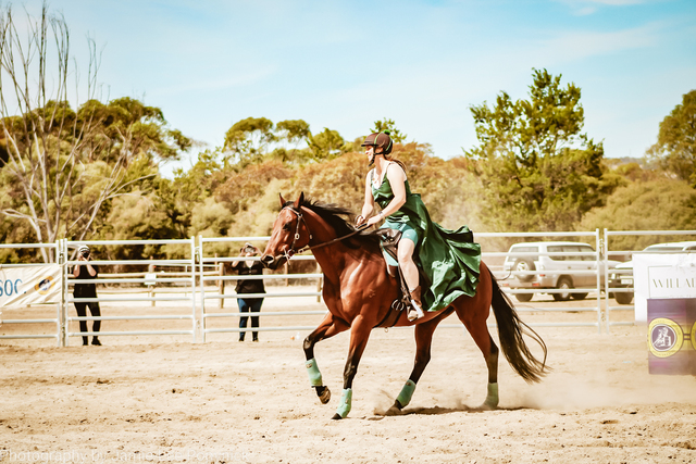 Gawler gallops for a good cause | The Bunyip