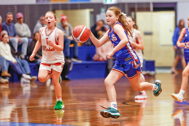 Lions take top as Sapwell brothers star | The Bunyip